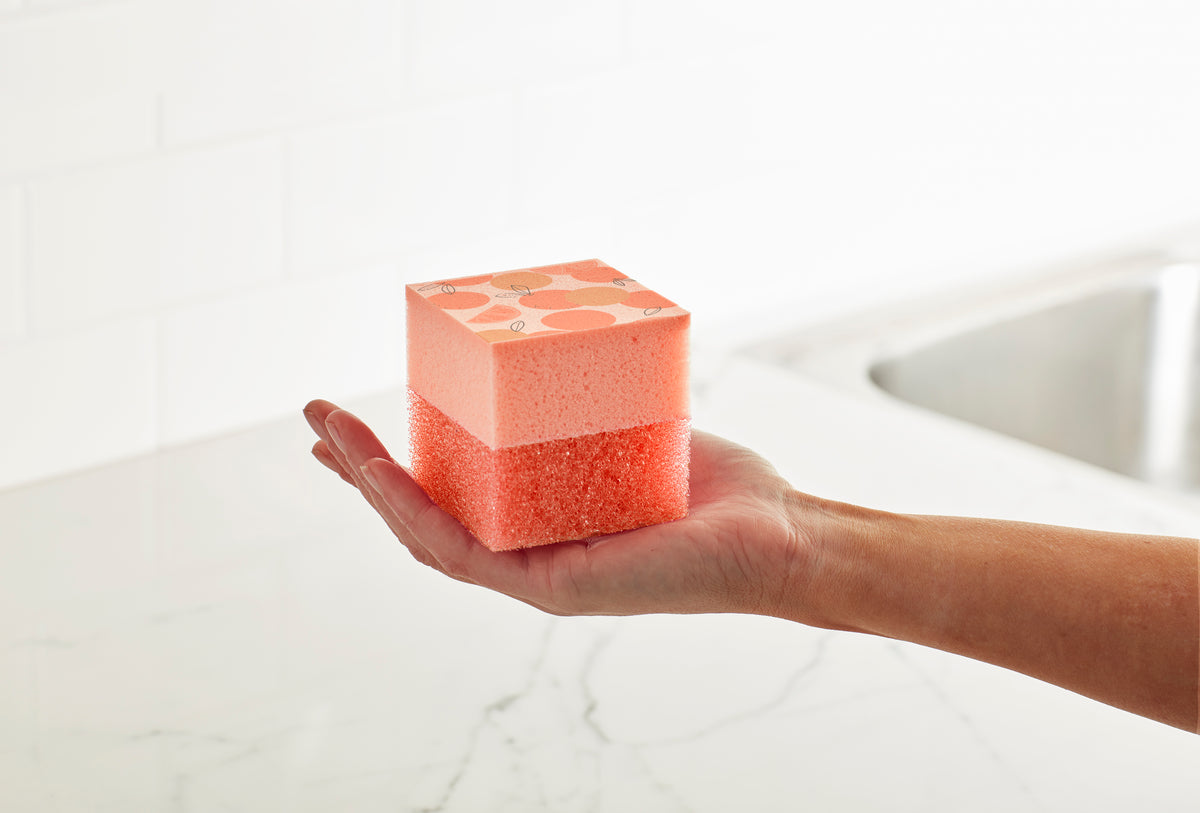 Set of Coral Cubes, 2ct – brightboxlabs.com