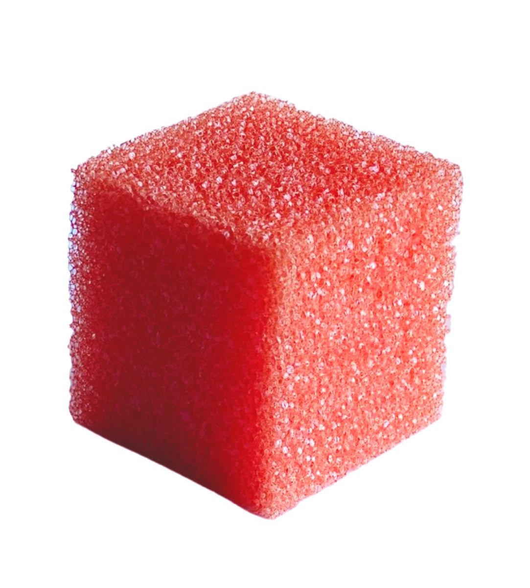Coral Cube Scrubber – brightboxlabs.com